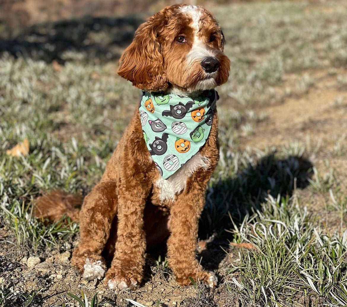 Halloween & Horror Collection – Page 2 – JQPaws